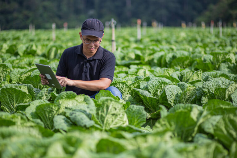 CJF - Orange County Business Council (OCBC)